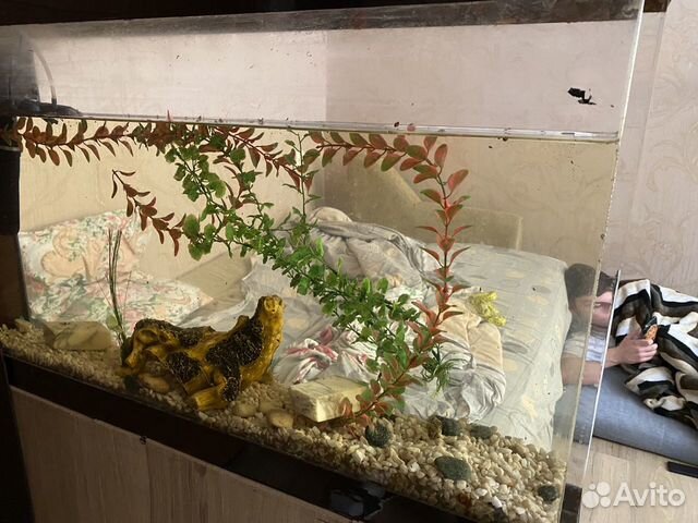 Аквариум акриловый