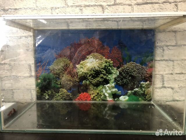 Аквариум с фильтром