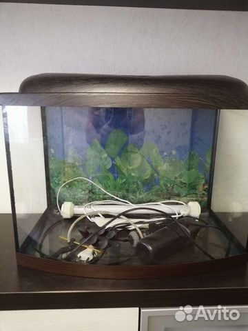 Аквариум 50 литров