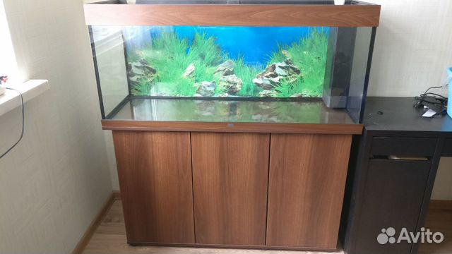 Аквариум Juwel Rio 240 л. Почти новый, 6 мес