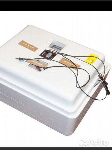 Цыплята на заказ