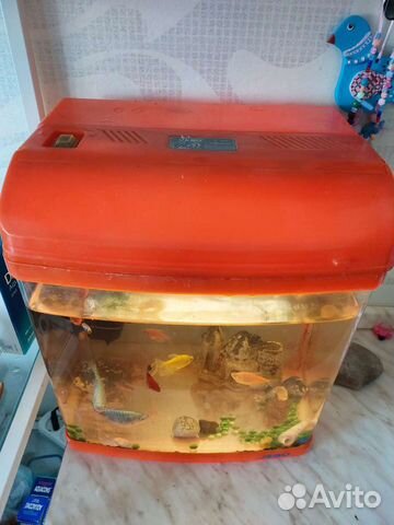 Аквариум Jebo r331 с рыбами и фильтром