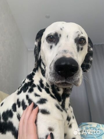 Ищу подругу для серьезных отношений