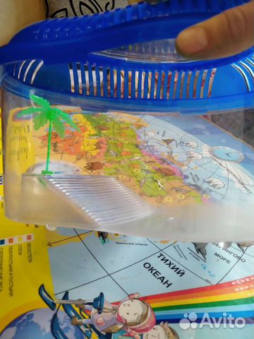 Мини аквариум для черепахи