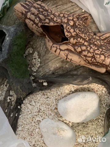 Грунт для аквариума