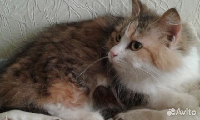 Спешите делать добро