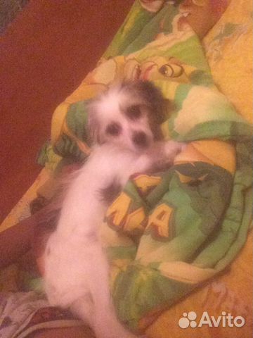 Кхс пуховка мини