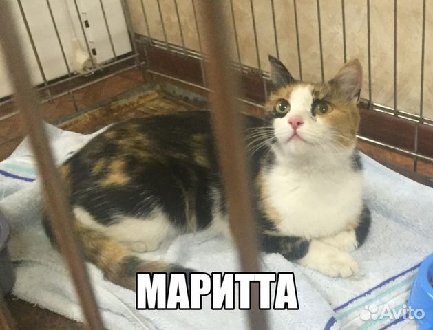 Рита