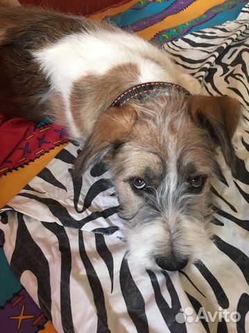 Сыночек ждёт маму