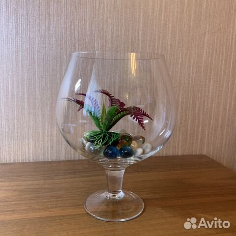 Аквариум бокал (чаша)