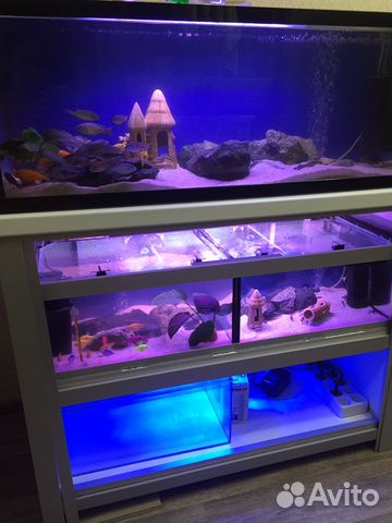 3 красивых аквариума на одной стойке