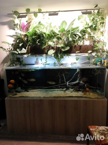 Изготовление аквариумов, сампов, фитостен