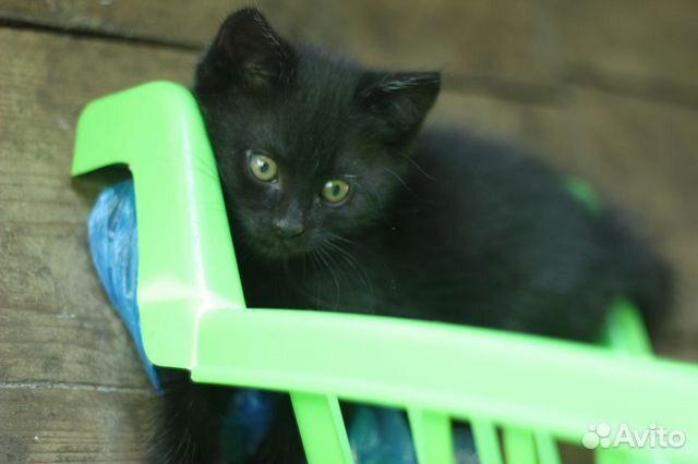 Уголёк мальчик