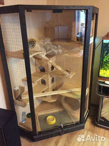 Шиншила, Клетка витрина