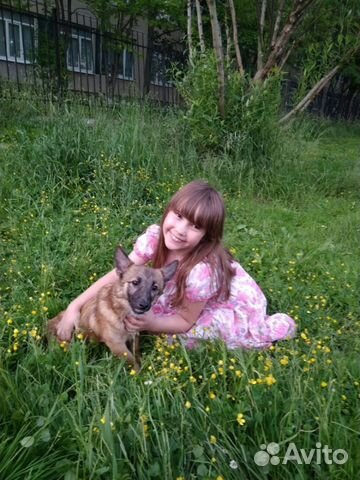 Маленькая собачка Фифи в добрые руки