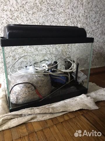 Аквариум