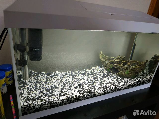 Аквариум