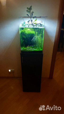 Креветочник Dennerle Nano Cube 60 с оборудованием