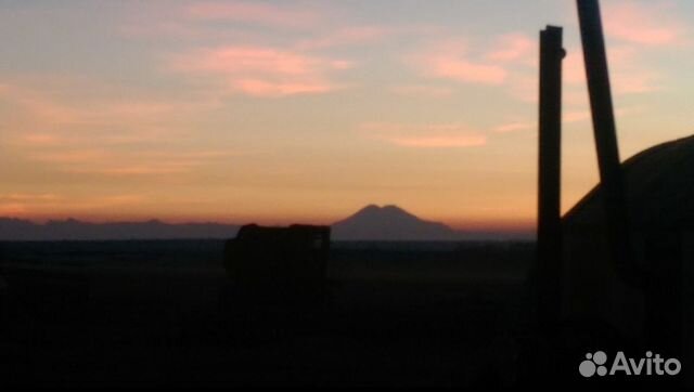 Молодые бараны