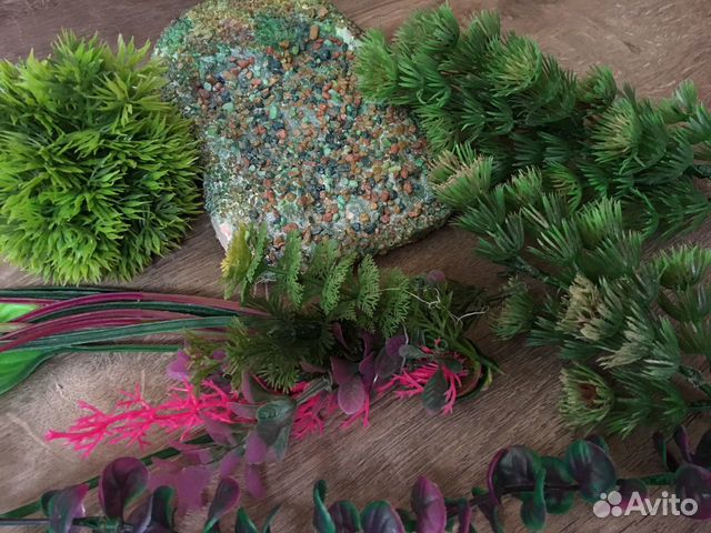 Растения и камень для Аквариума