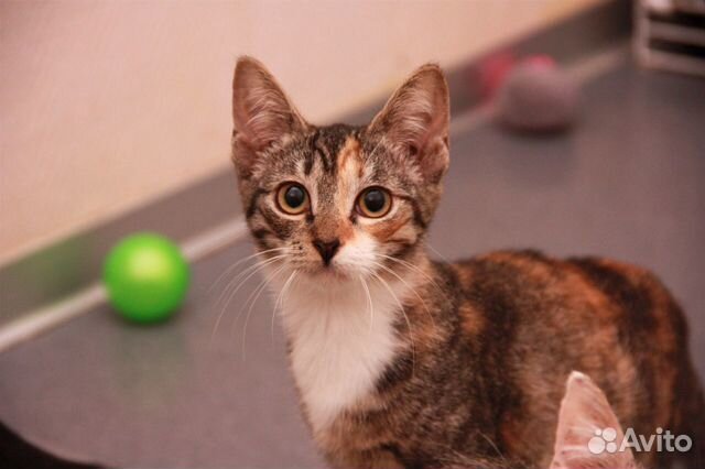 Малышка Варя 5 месяцев