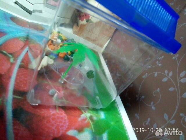 Переносной аквариум для черепах