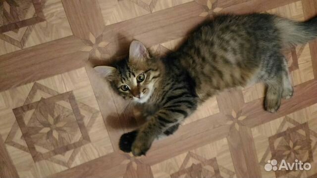 Супер позитивчик с ушками