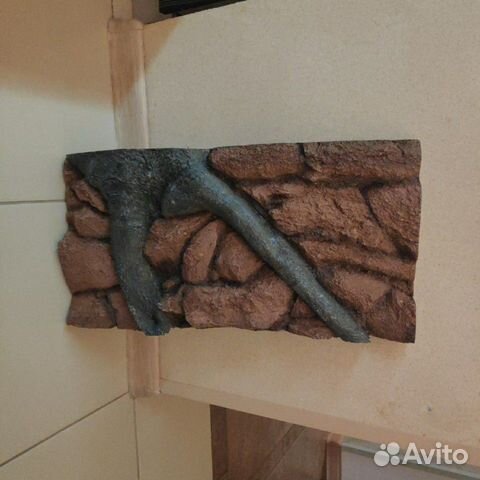 Фон для аквариума