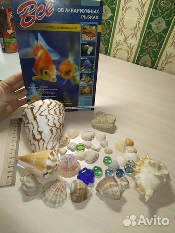 Ракушки для аквариума + книга