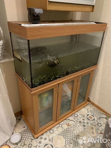 Аквариум (акватеррариум) с полным фаршем