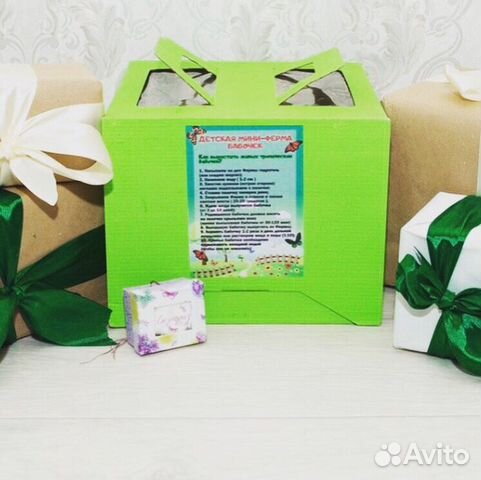 Мини ферма бабочек