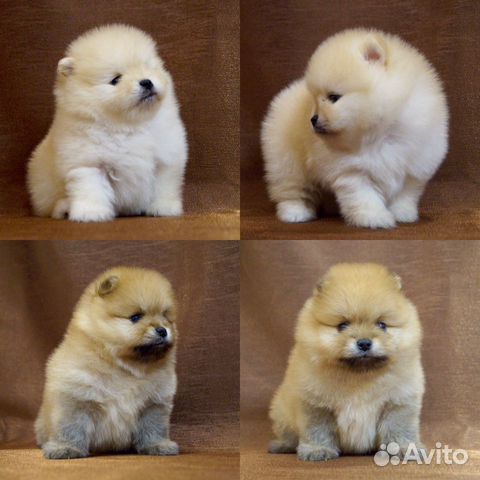 Супер мальчишки