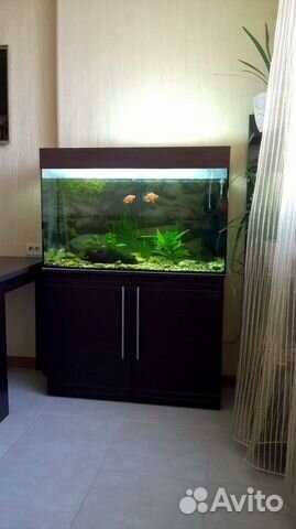 Аквариум