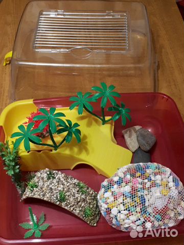 Террариум для черепахи