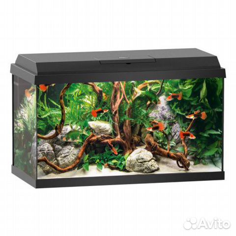 Аквариум новый juwel record 600 all inclusive