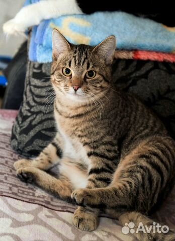 Антошка 6мес