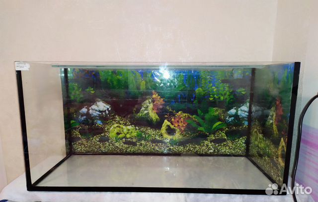 Аквариум