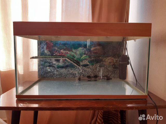 Аквариум, 100л