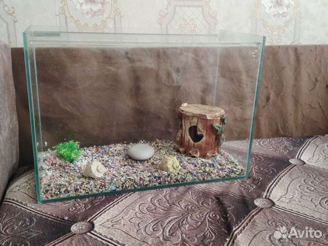 Аквариум для рыб