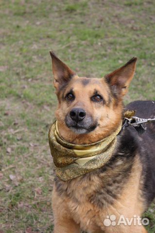 Я все еще остаюсь незамеченным в клетке