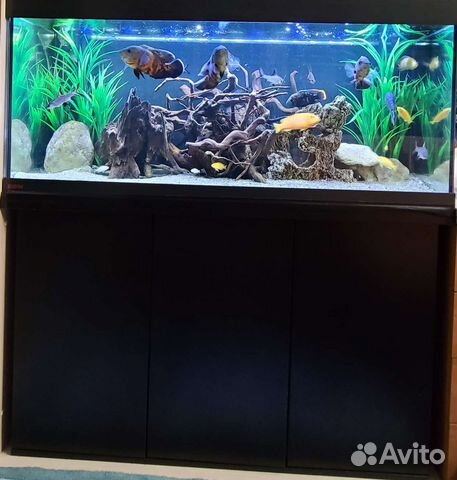 Аквариум 250 литров с тумбой