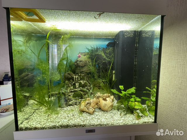 Аквариум Juwel Lido 120 LED с тумбой