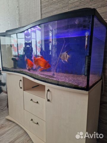 Аквариум с тумбой и рыбками 270 литров