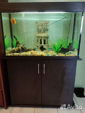 Аквариум 150 л + тумба