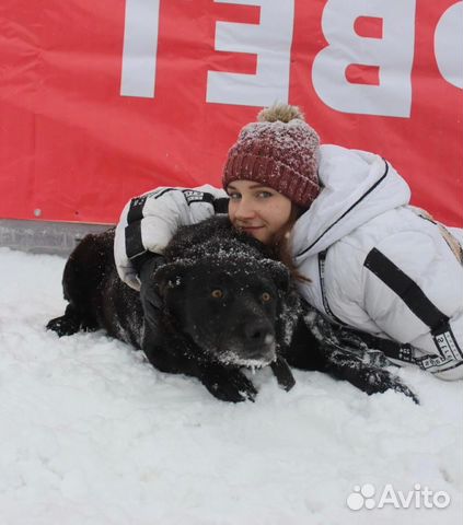 Пентагоша, старичок из приюта ищет хозяина