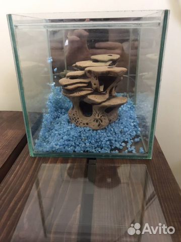 Аквариум 5 литров для Петушка