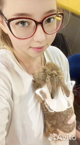 Декоративные кролики домашний мини