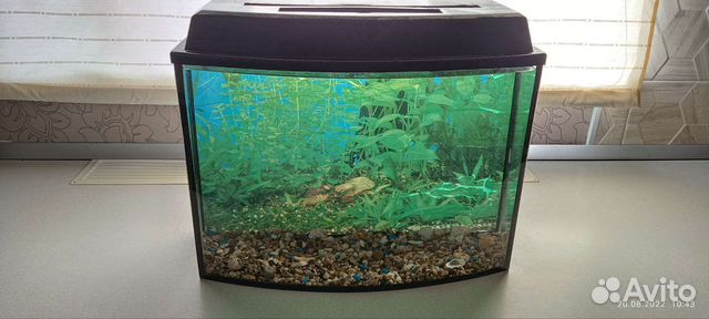 Аквариум 23 л