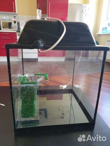 Аквариум для водяной черепахи