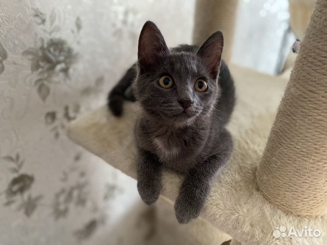 Красивый мальчик